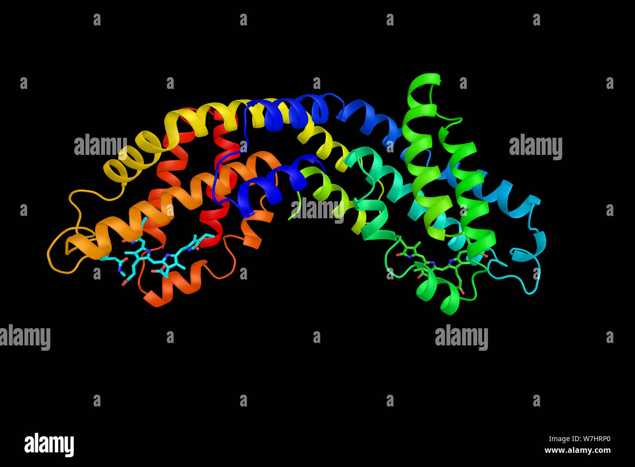 Phycobiliprotein hi-res stock photography and images - Alamy