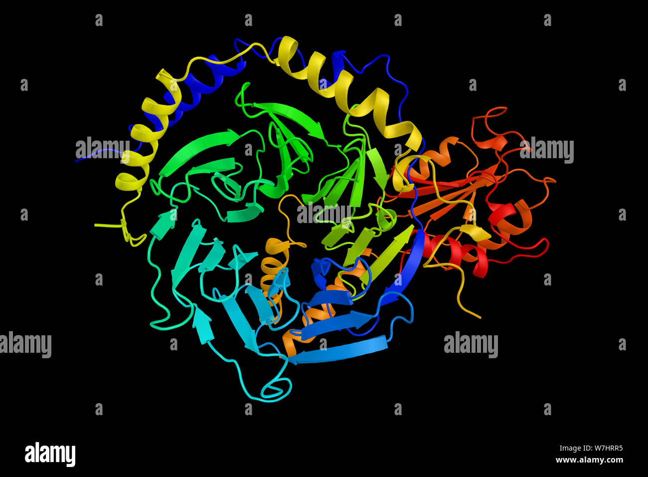 Guanine nucleotide binding hi-res stock photography and images - Alamy
