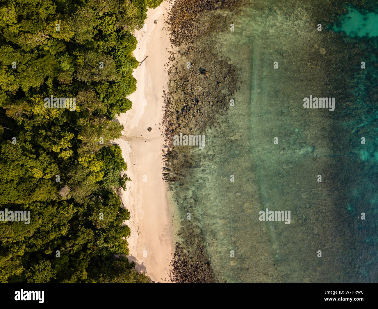 Aerial drone birds eye view of a beautiful tropical sandy beach, coral ...