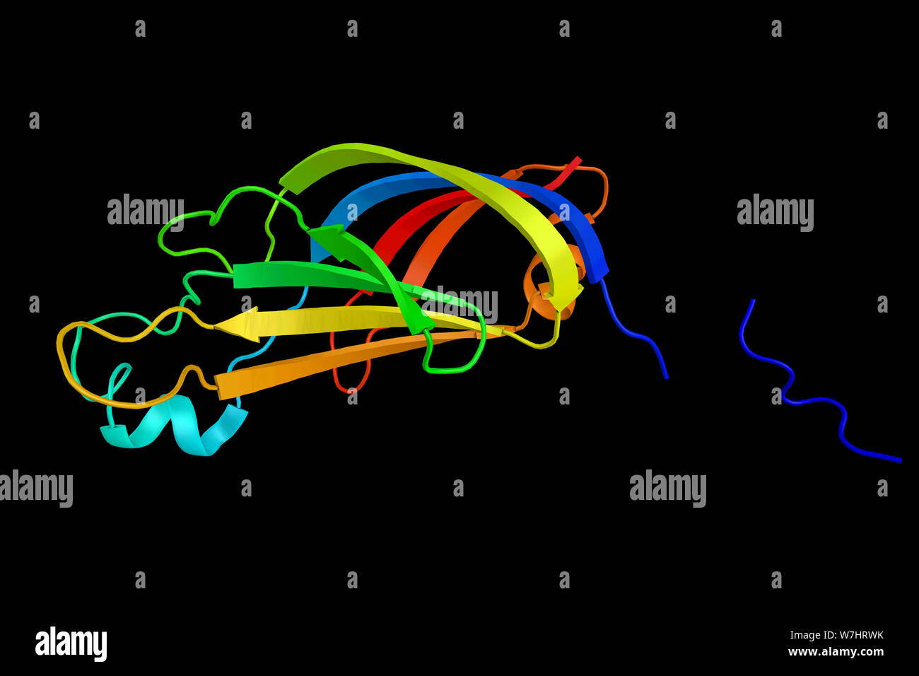 Npkc eta hi-res stock photography and images - Alamy