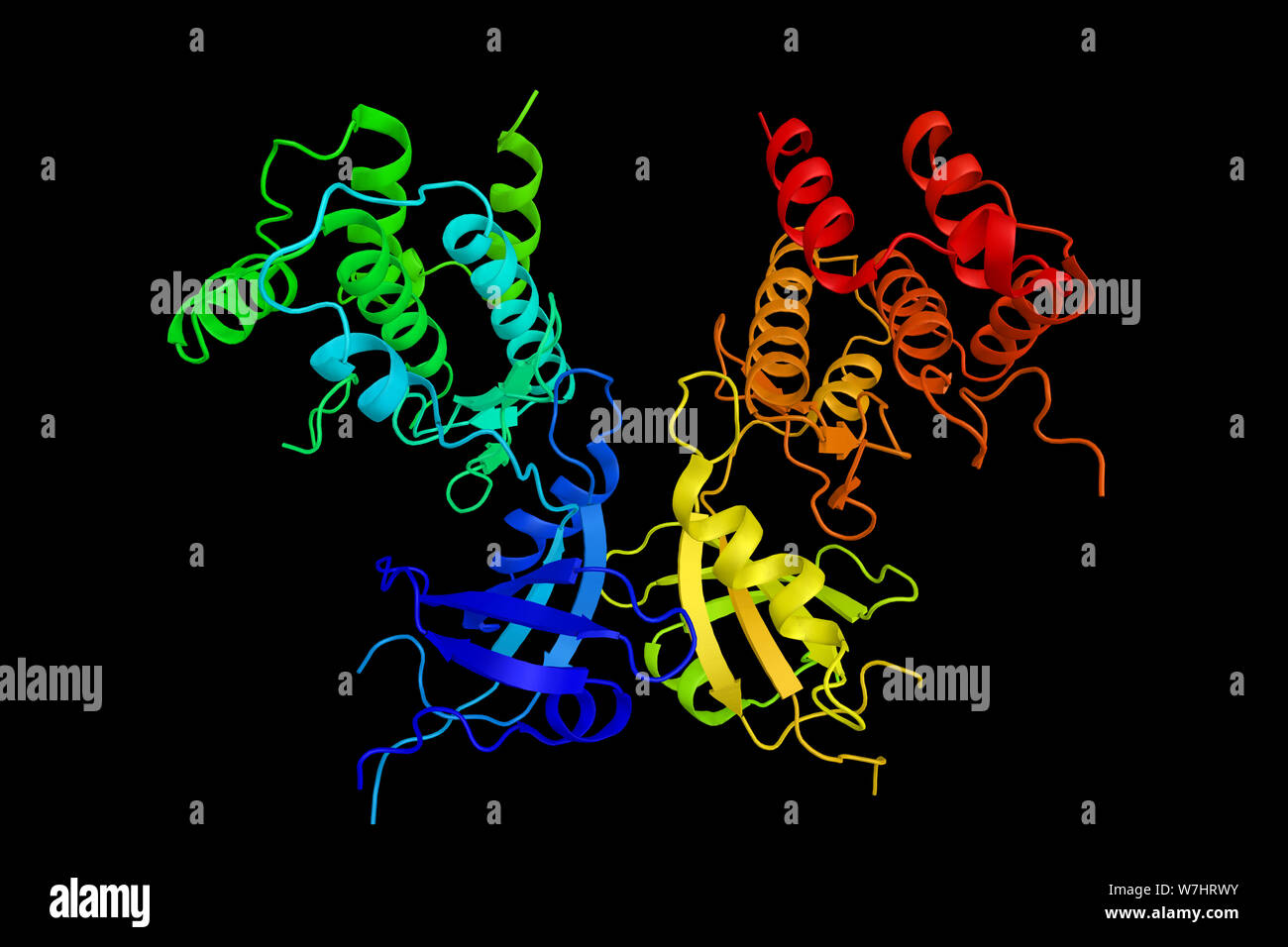 Protein kinase RNA-activated, an enzyme which protects against viral ...