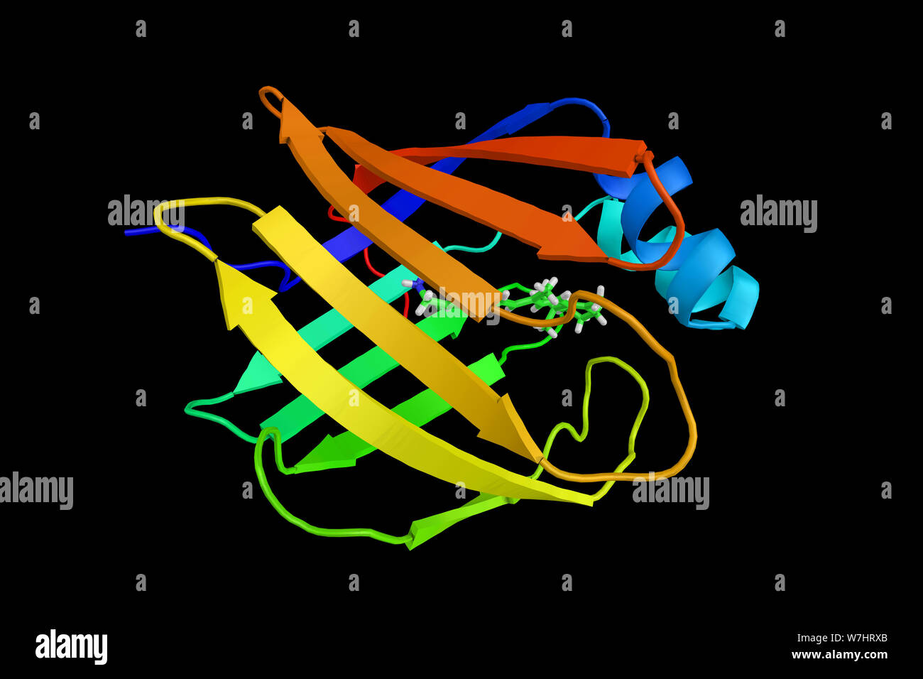 RBP1, the carrier protein involved in the transport of retinol from the ...