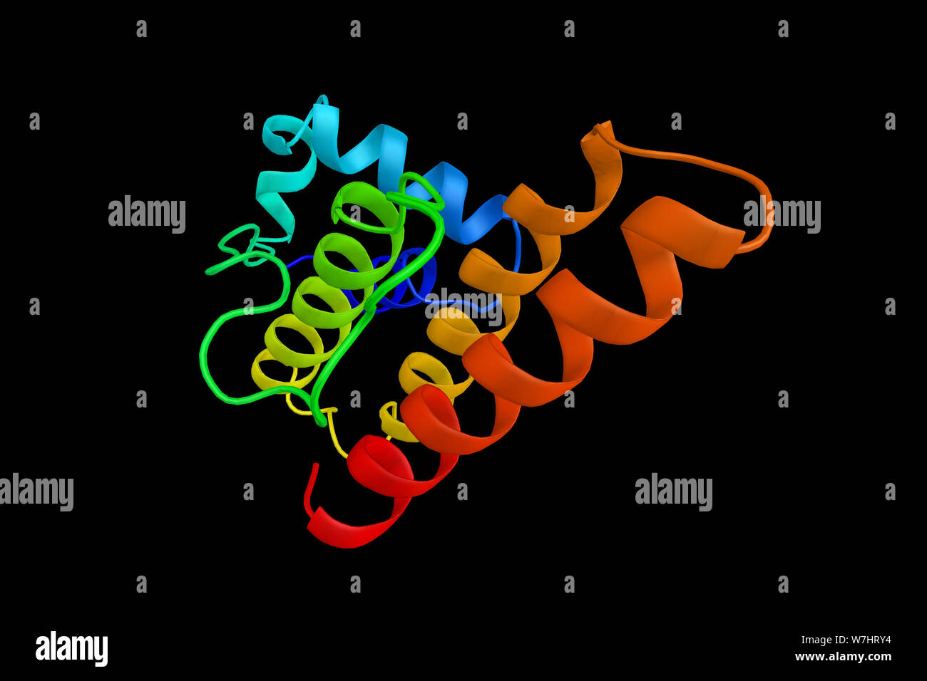 Prokaryotic phospholipase A2, which enables the liberation of fatty ...