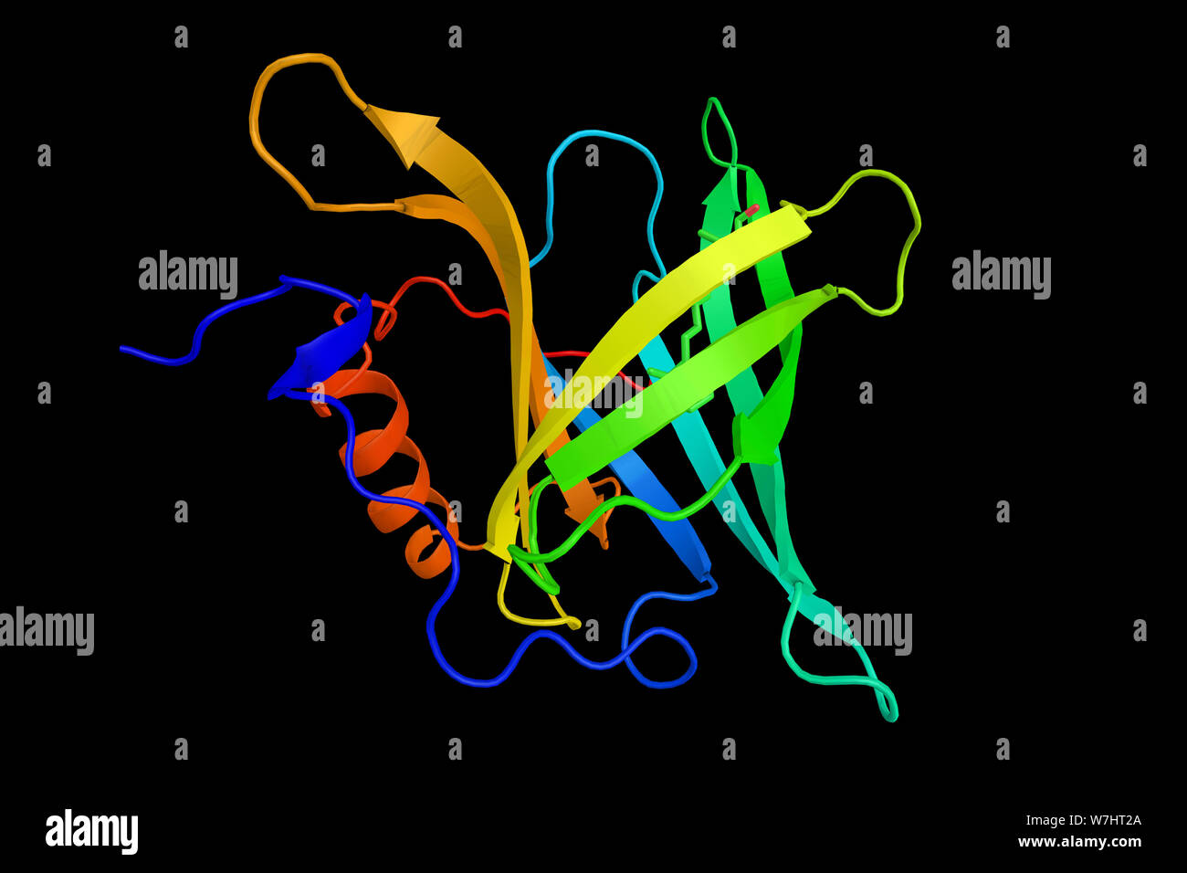 Retinol binding protein 4, a protein which delivers retinol from the ...