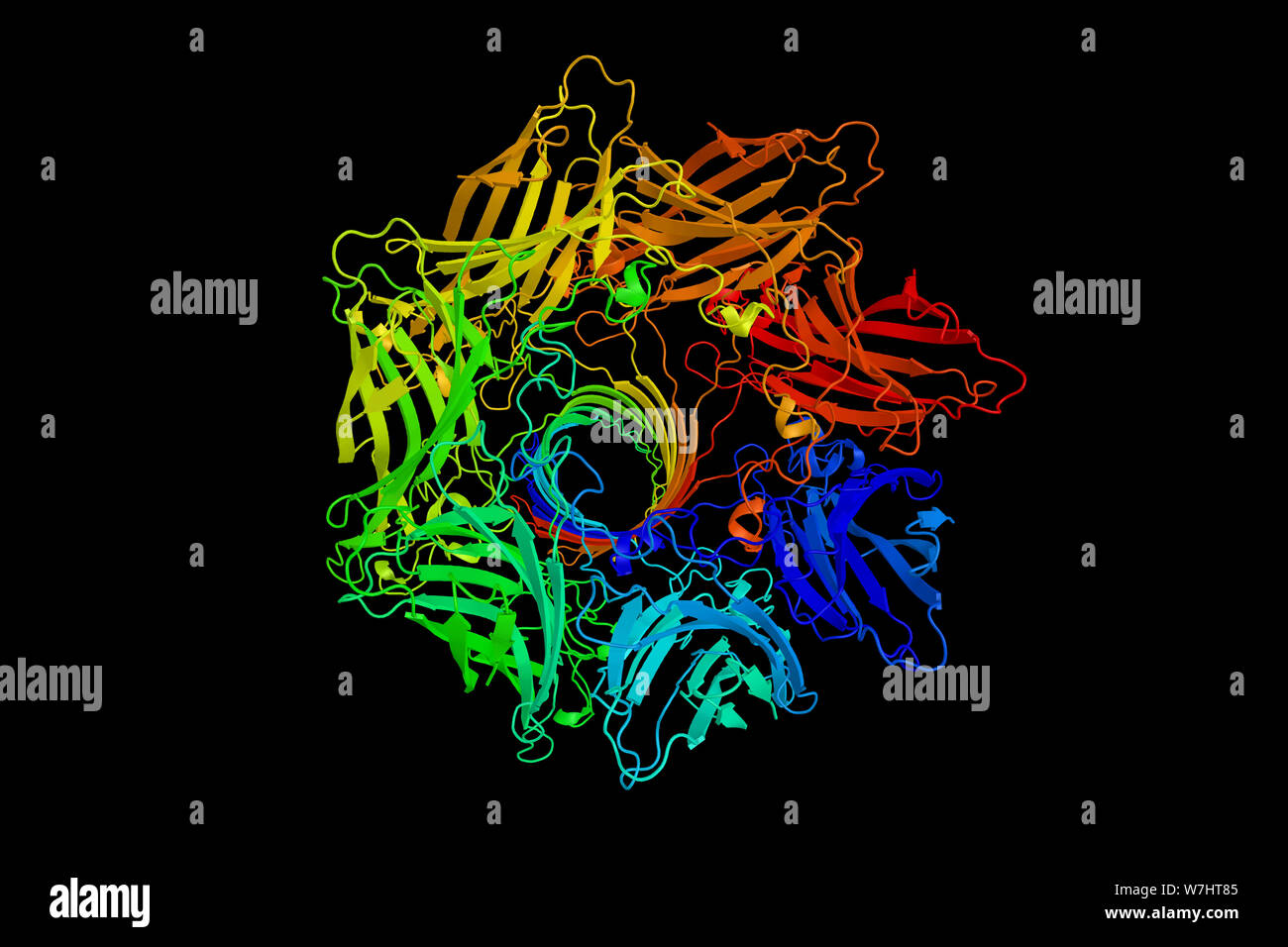 Alpha-toxin, the major cytotoxic agent released by bacterium ...