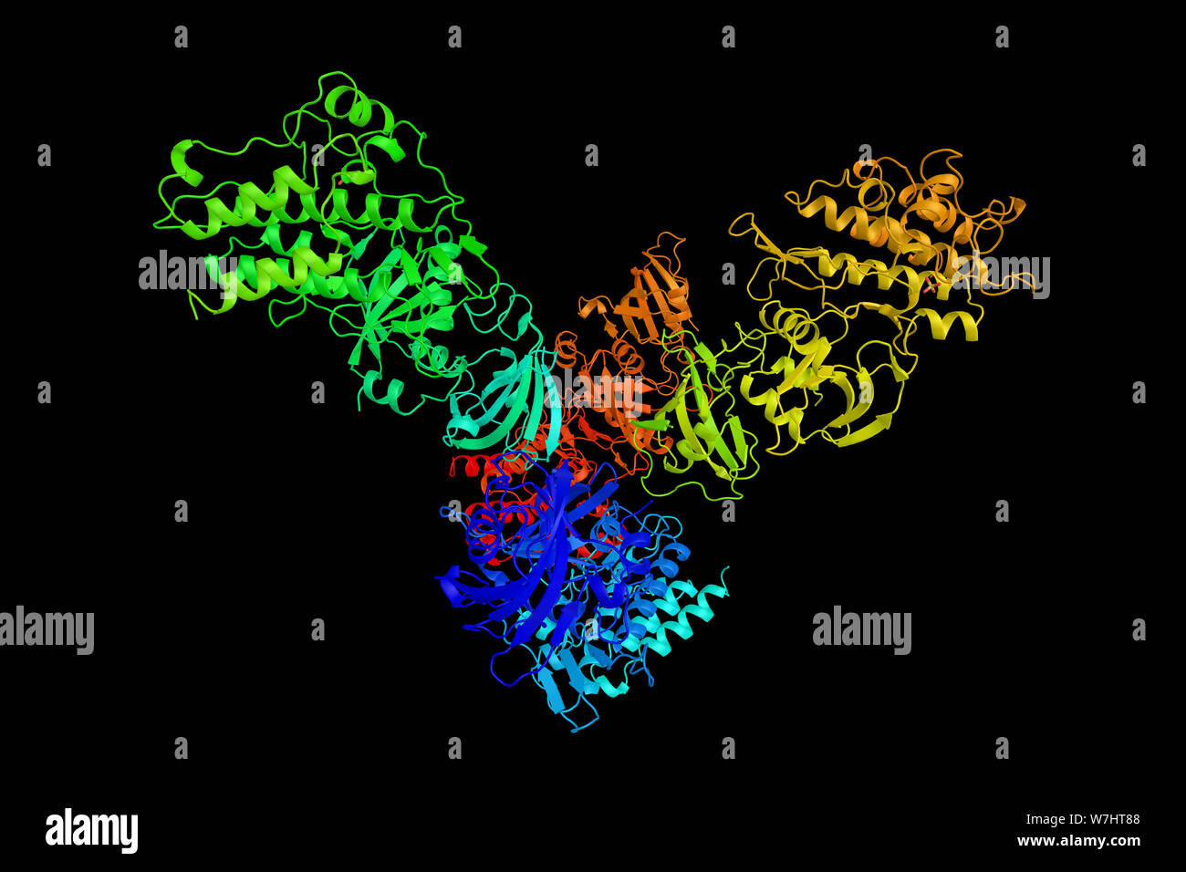 TGF beta receptor 1, a protein which forms a heteromeric complex with ...