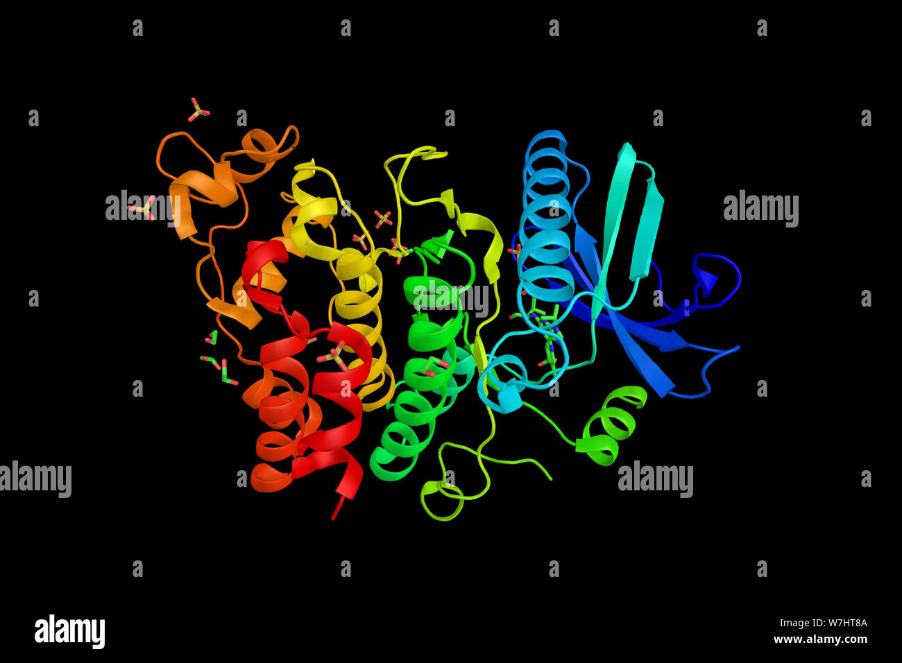 Serine/threonine-protein kinase SRPK2, an enzyme that in humans is ...