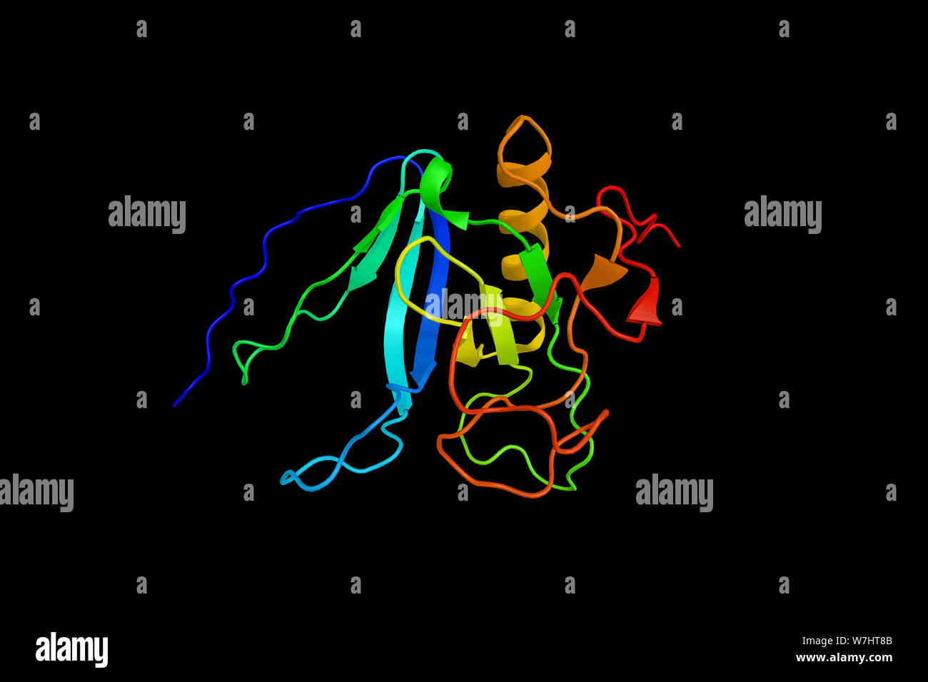 Tyrosine-protein kinase Tec, an enzyme which is an integral component ...