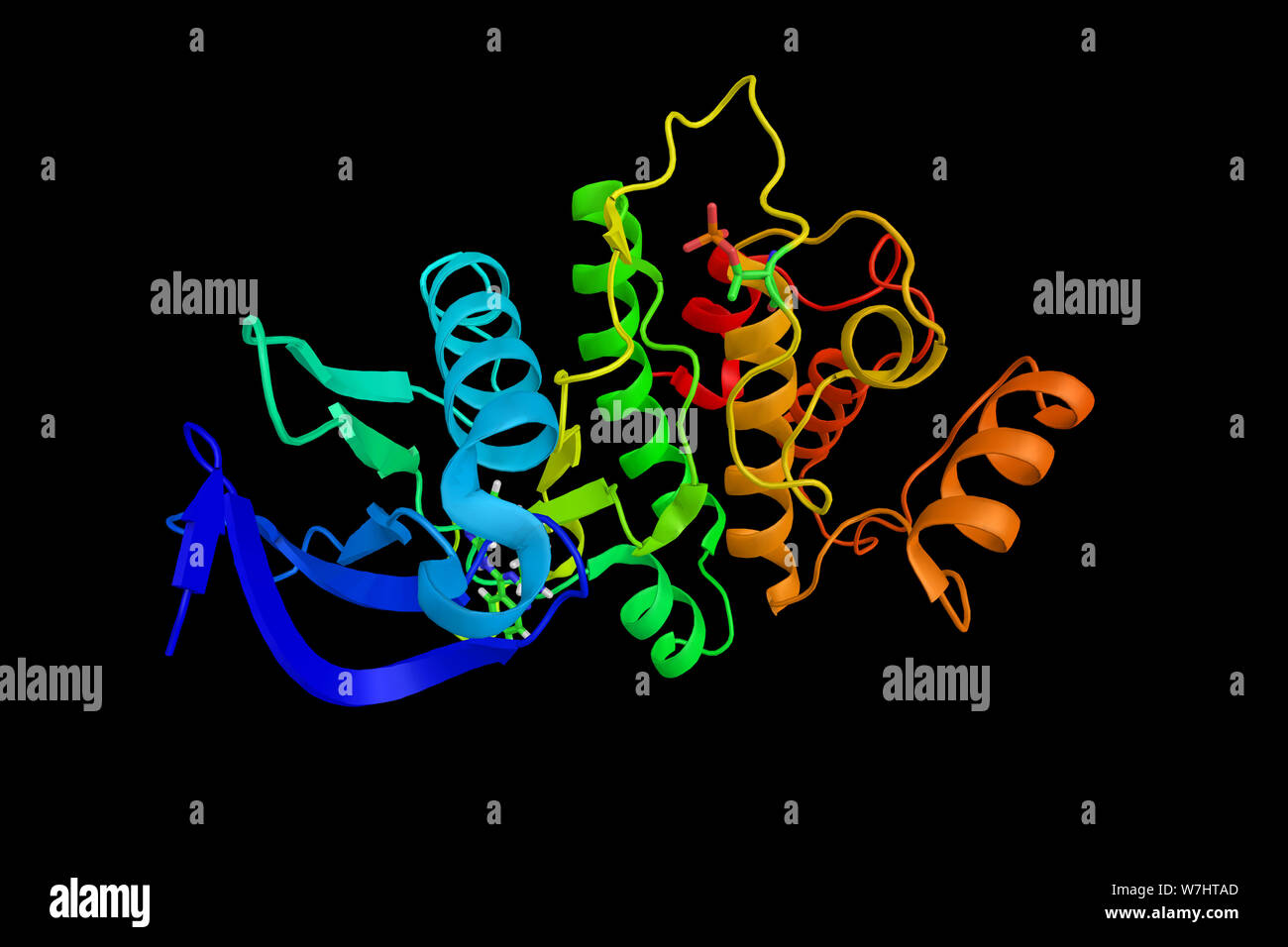 Serine/threonine-protein kinase ULK1, an important protein in autophagy ...
