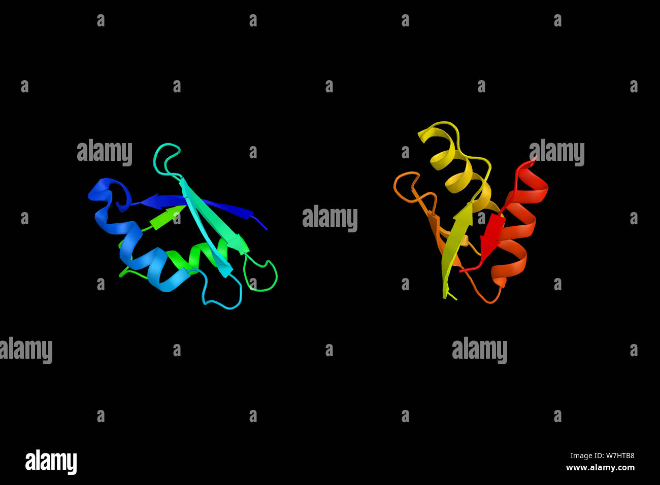 Wilson disease protei, which balances the copper level in the body by ...