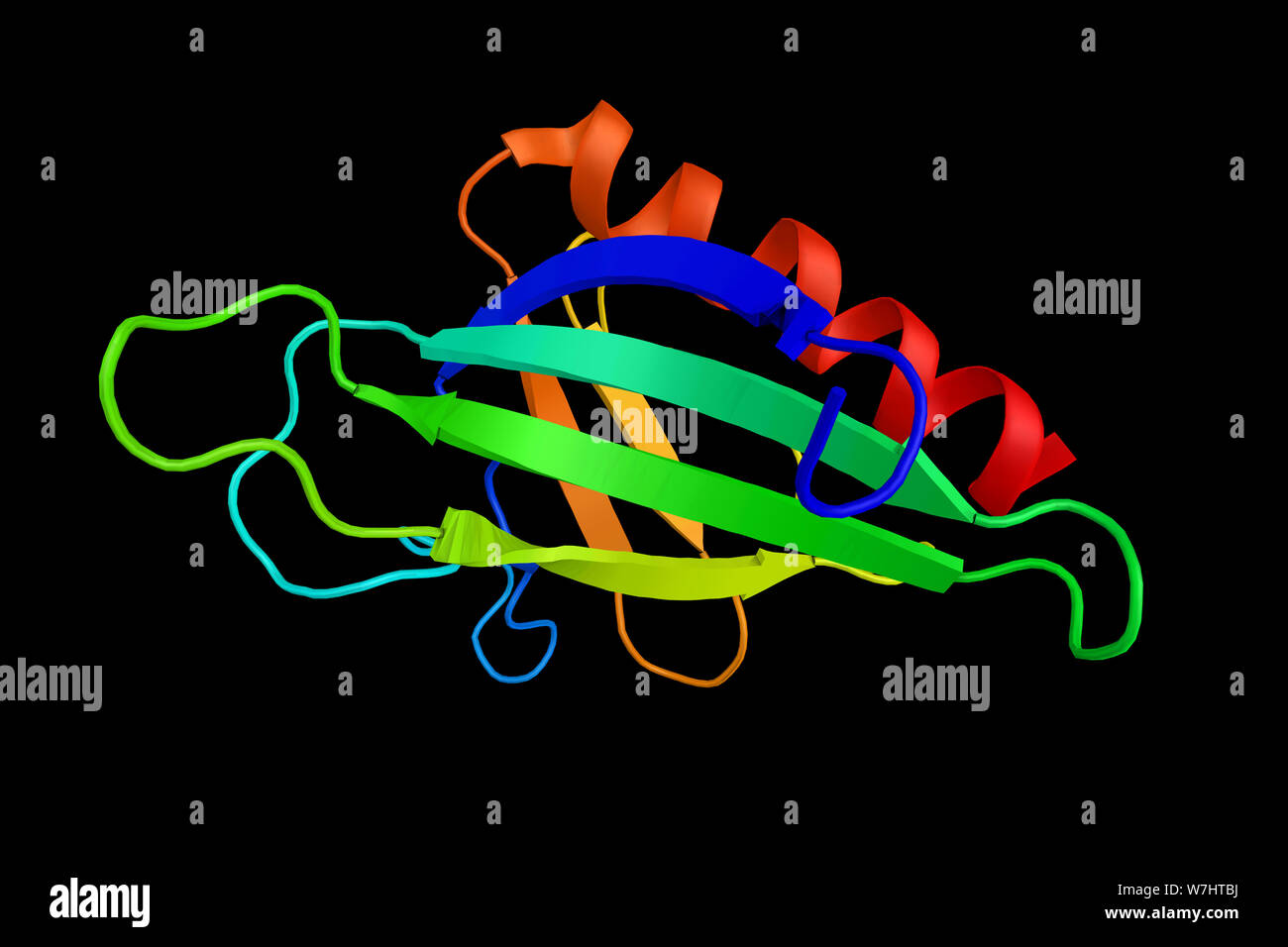 Cell adhesion proteins hi-res stock photography and images - Alamy