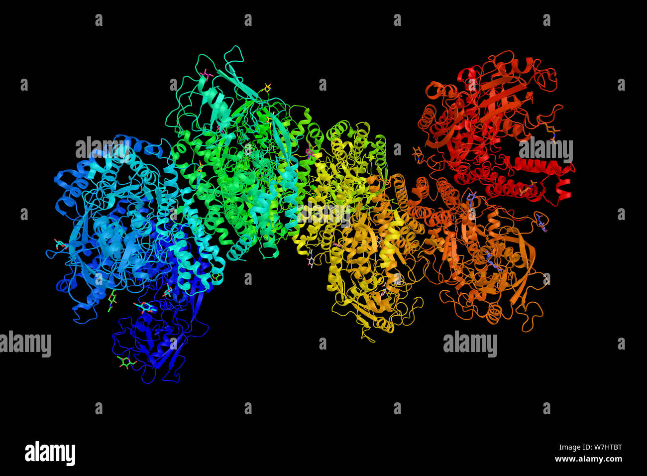 Transferrin receptor mediated endocytosis hi-res stock photography and ...