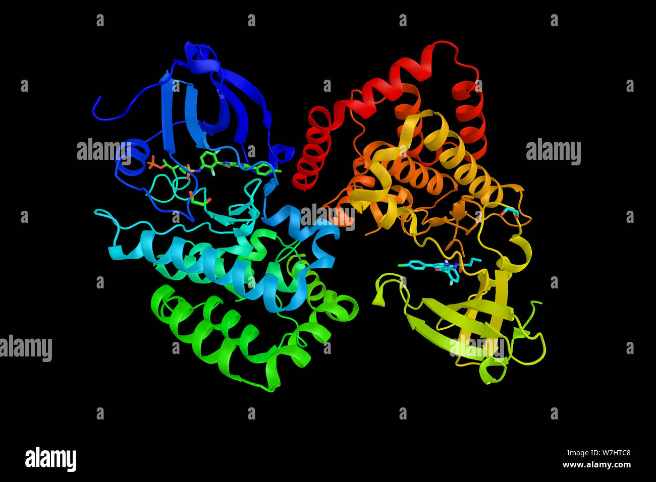 Cell cycle hi-res stock photography and images - Alamy