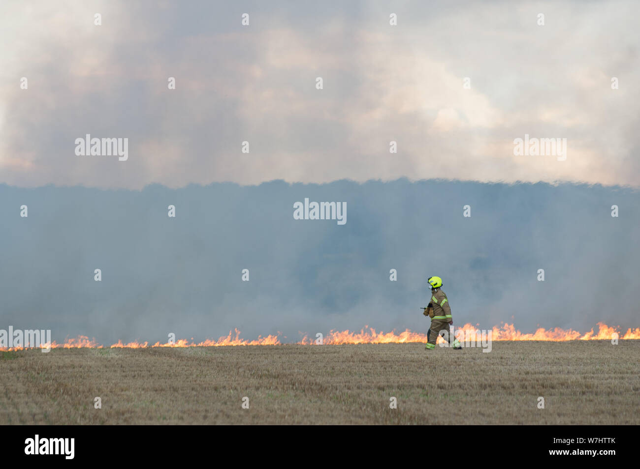 Hatfield hertfordshire the avenue hi-res stock photography and images ...