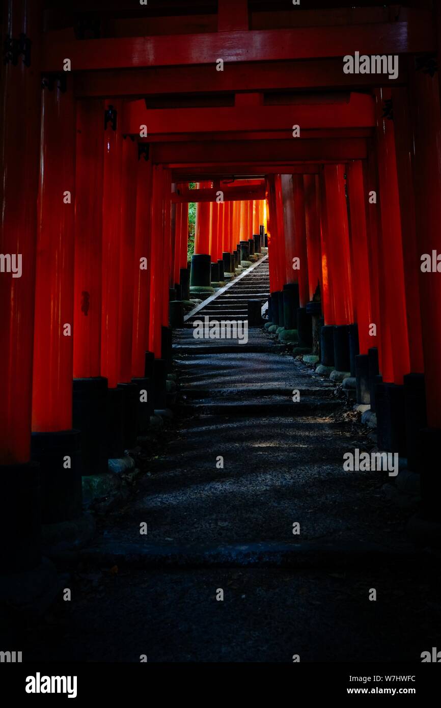 Vertical shot of pathway with red tori gates Stock Photo - Alamy