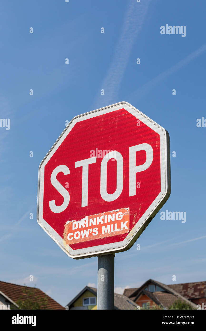 Stop drinking cow’s milk, Stop traffic sign with a sticker Stock Photo ...