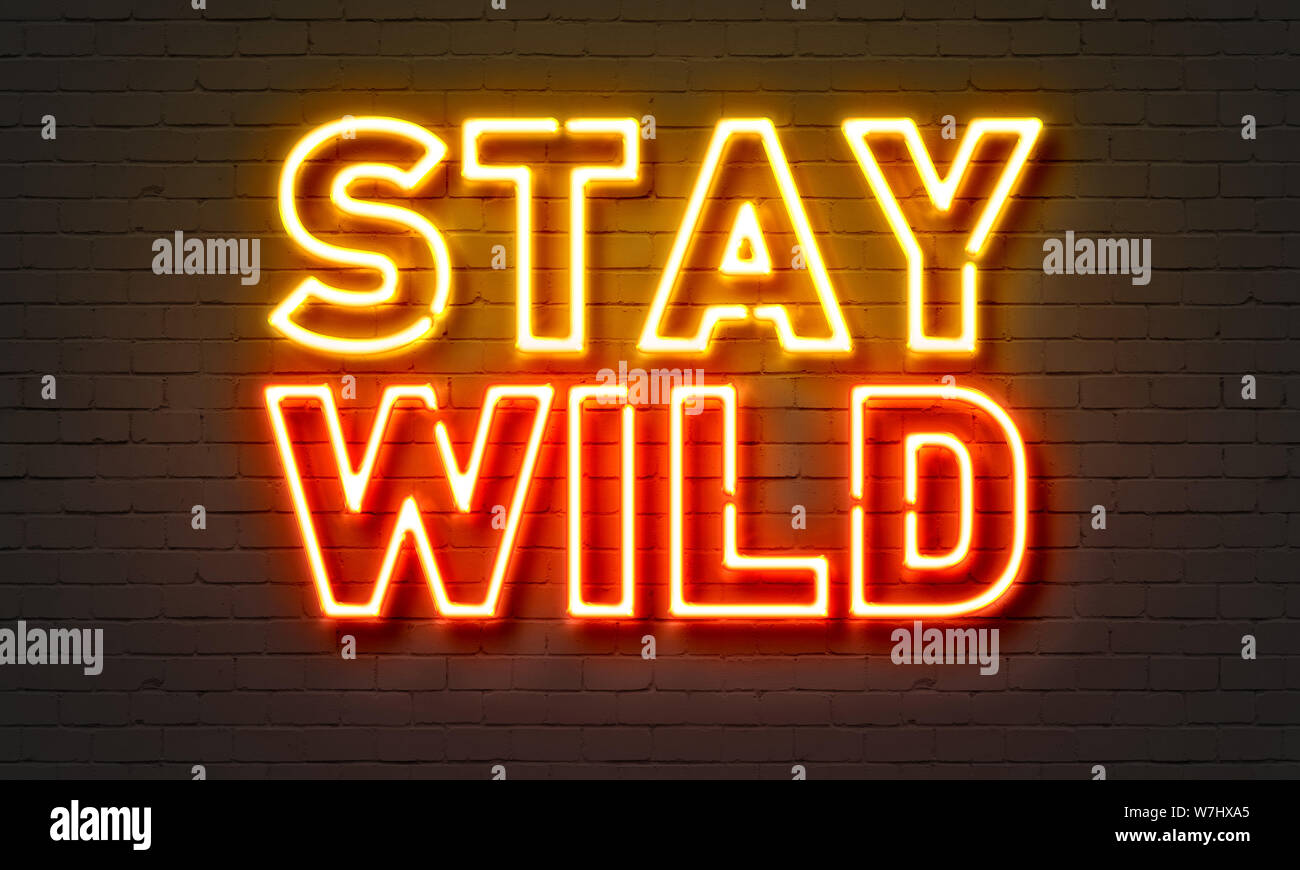 Stay wild neon sign on brick wall background Stock Photo - Alamy