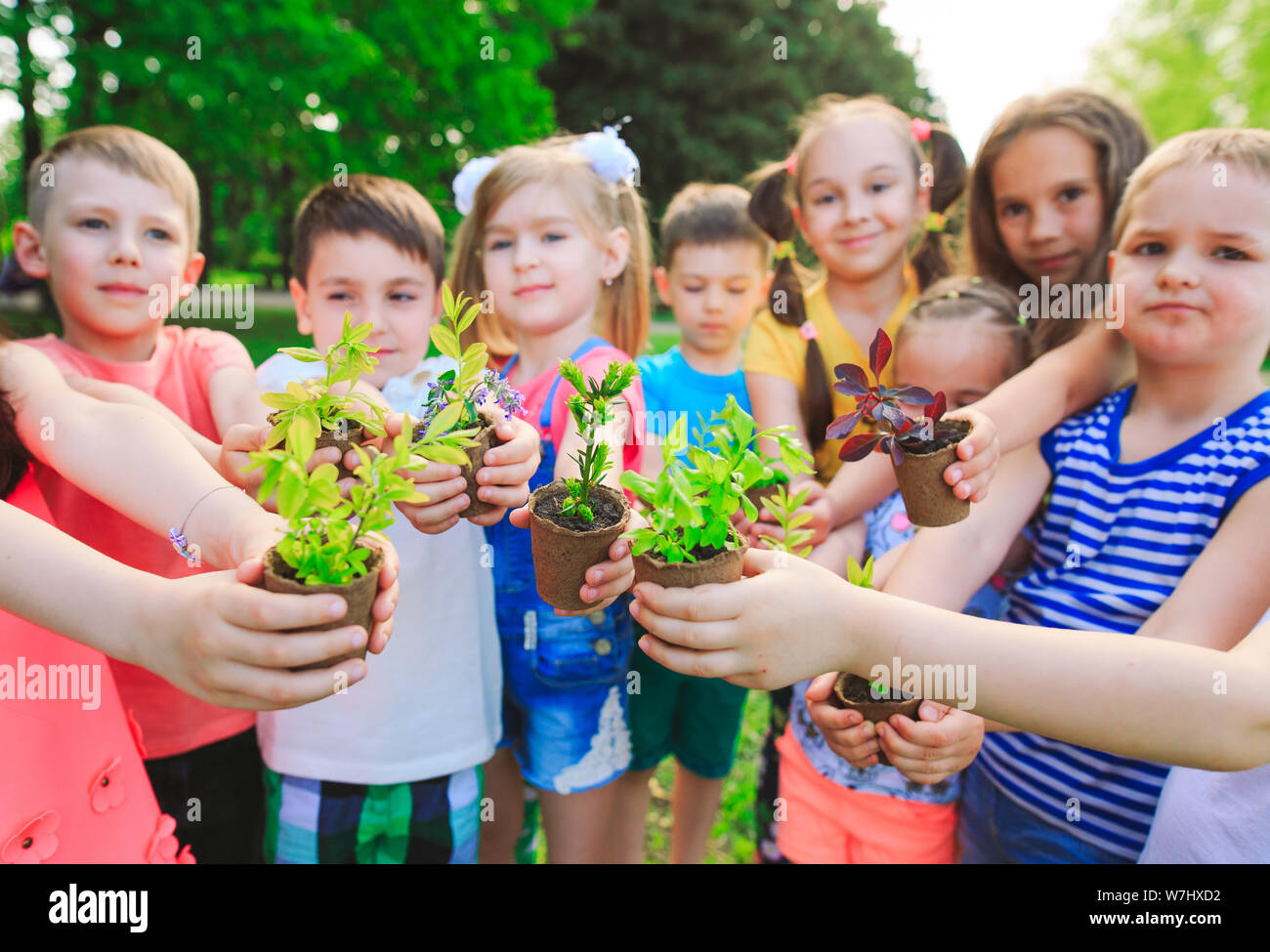 Children's hands planting young tree on black soil together as the ...