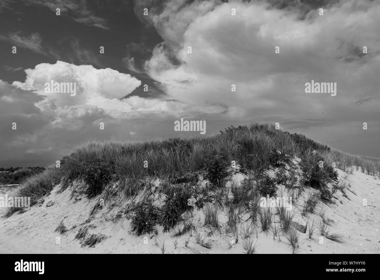 Dune photo Black and White Stock Photos & Images - Alamy