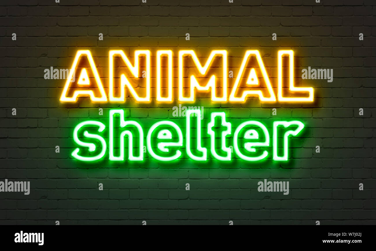 Animal shelter neon sign on brick wall background Stock Photo - Alamy