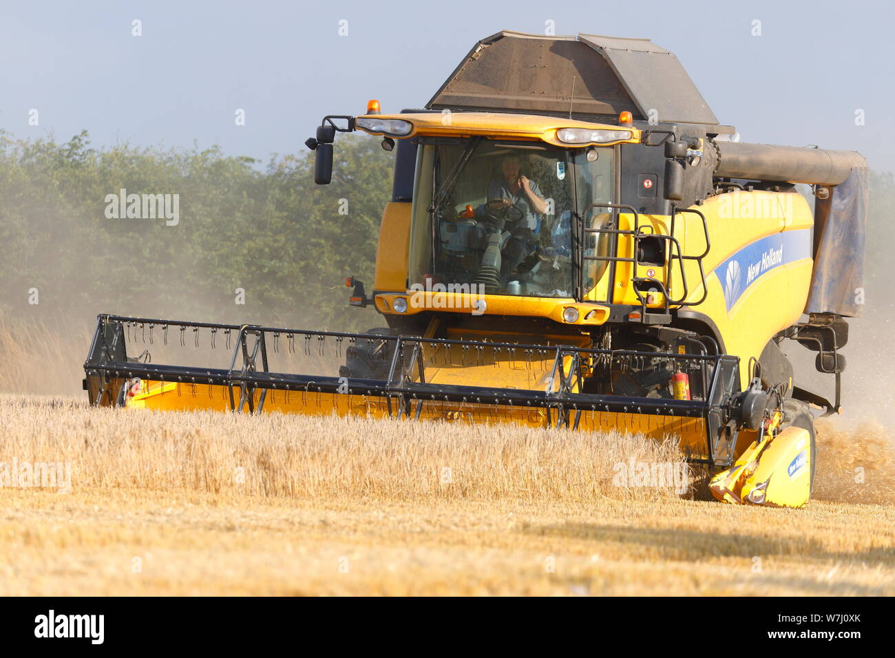 Cutting corn field hi-res stock photography and images - Alamy