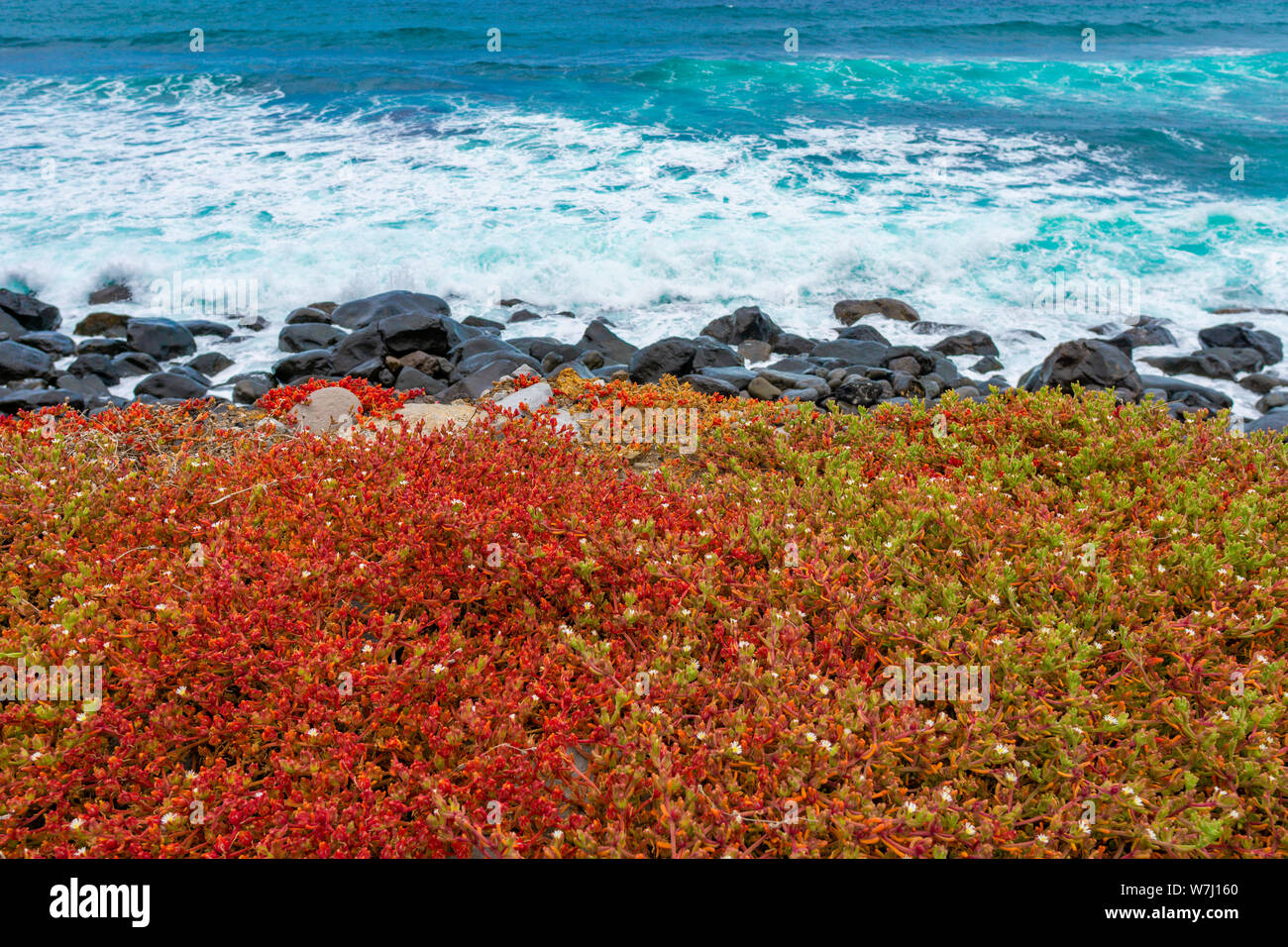 Aerial view seaside shore waves hi-res stock photography and images - Alamy