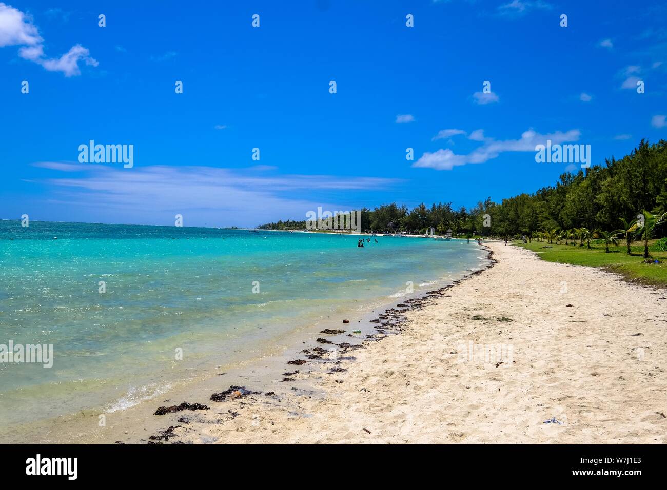 Beach shore near the grassy field with trees and people in the distance ...