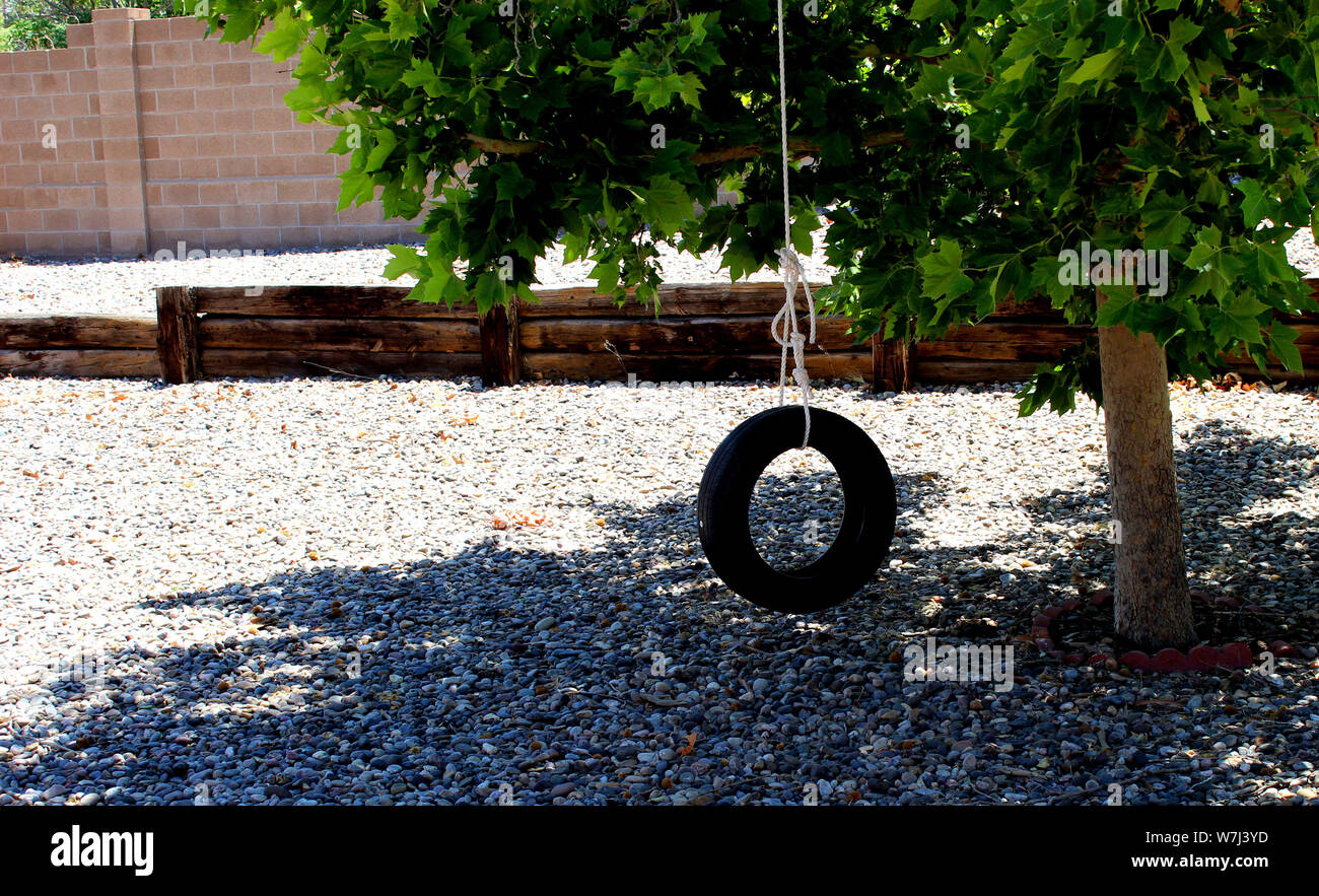 Tire swing tree hi-res stock photography and images - Alamy