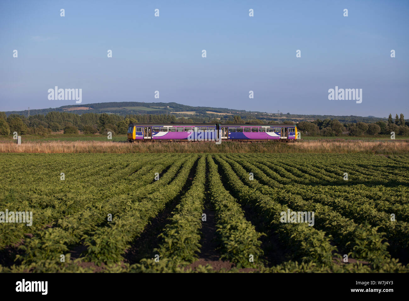Arriva Northern rail class 142 pacer train passing Burscough Moss on ...