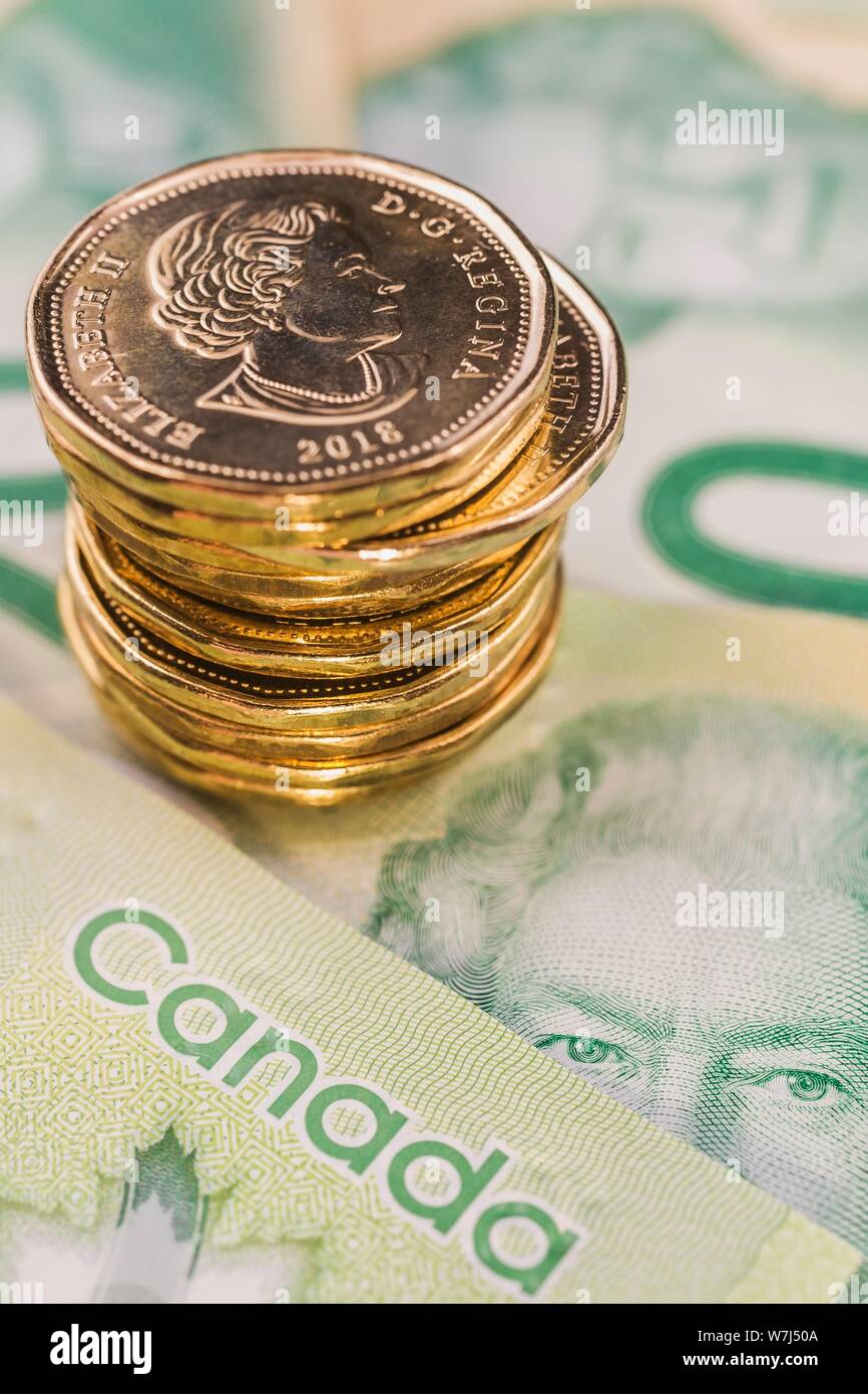 Canada Dollar Coin Elizabeth Ii