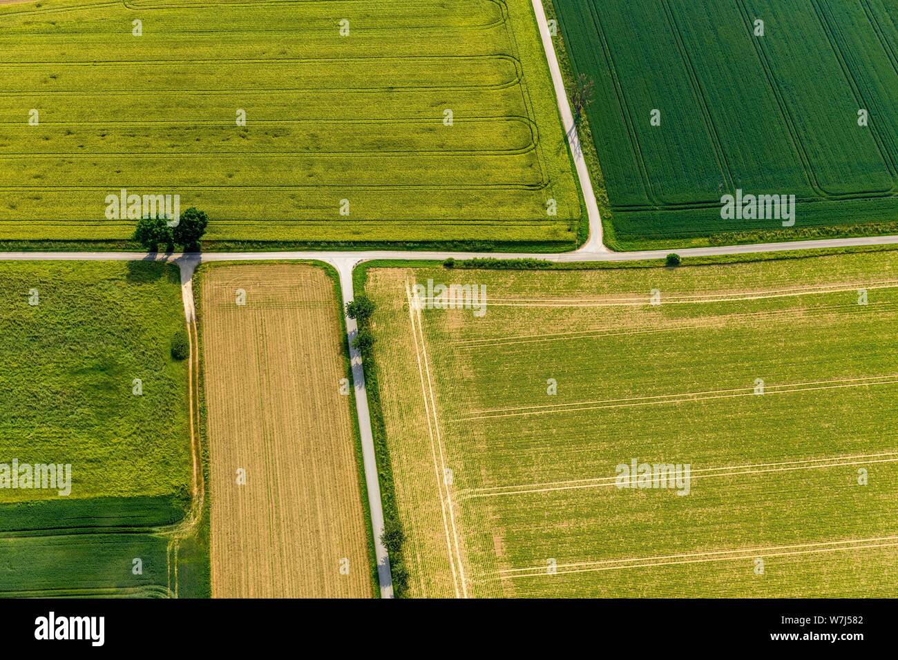 Aerial view, paths through green and harvested fields, agricultural ...