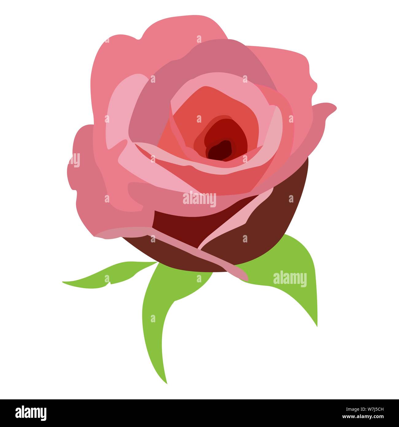Isolated rose flower over a white background - Vector Stock Vector ...
