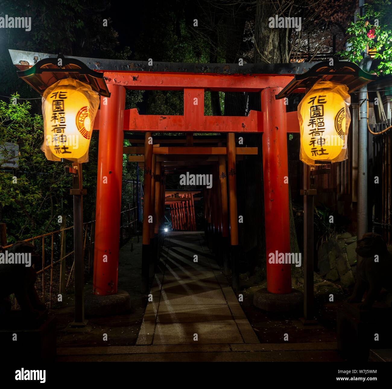 Torii gate shinto shrine gate hi-res stock photography and images - Alamy