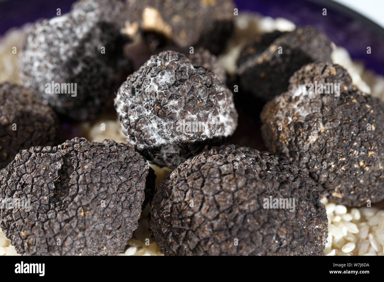 Black Truffles in rice on a white background Stock Photo - Alamy