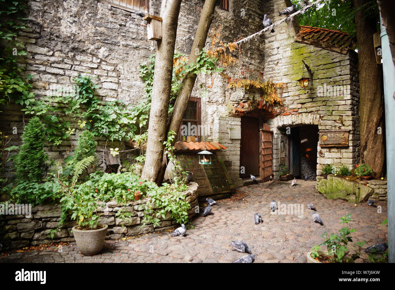 Courtyard with pigeons Stock Photo - Alamy