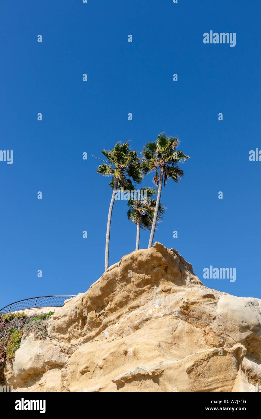Cliff and palm trees hi-res stock photography and images - Alamy