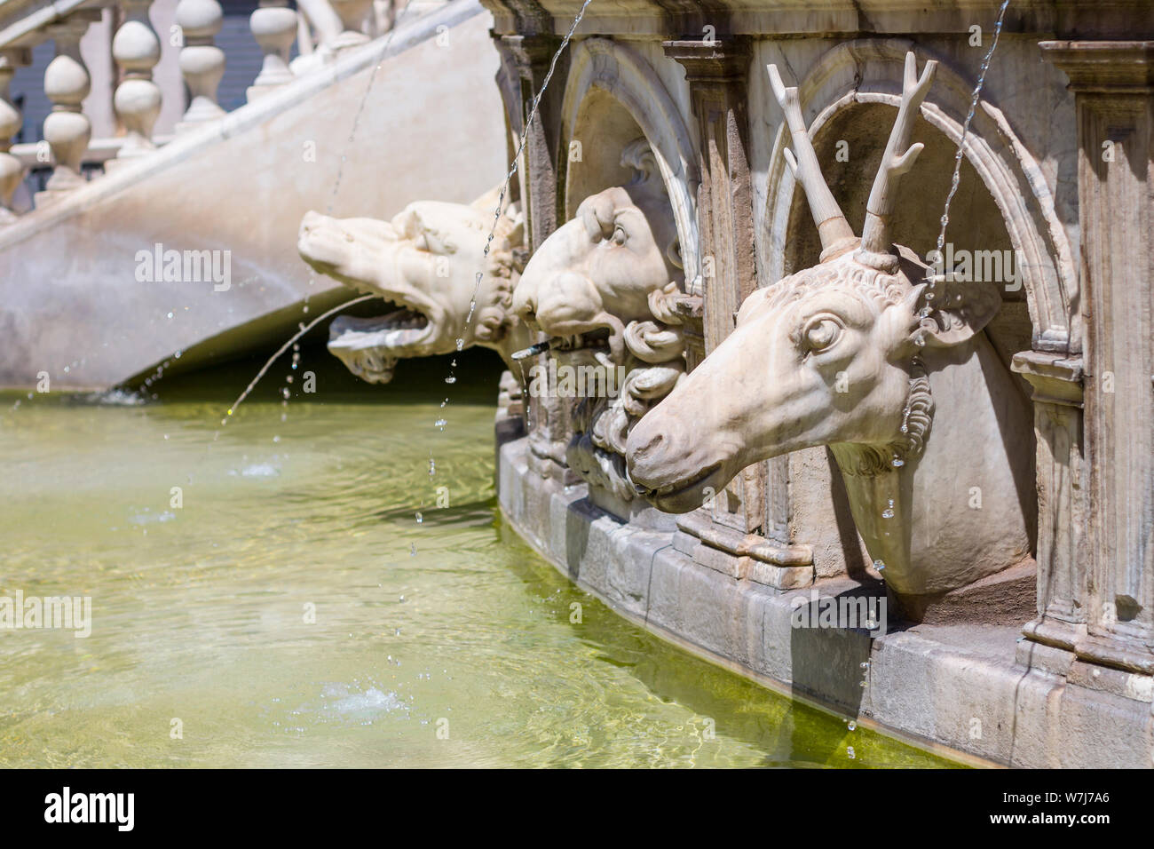 Marble statues of mythological animals on ancient Praetorian Fountain ...