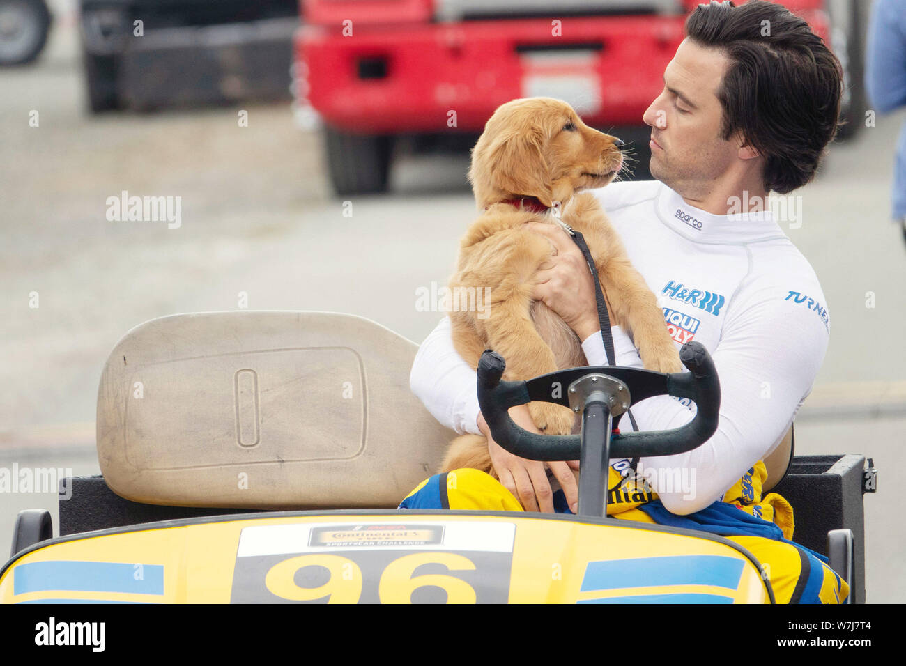 THE ART OF RACING IN THE RAIN, from left: Enzo (voice: Kevin Costner ...