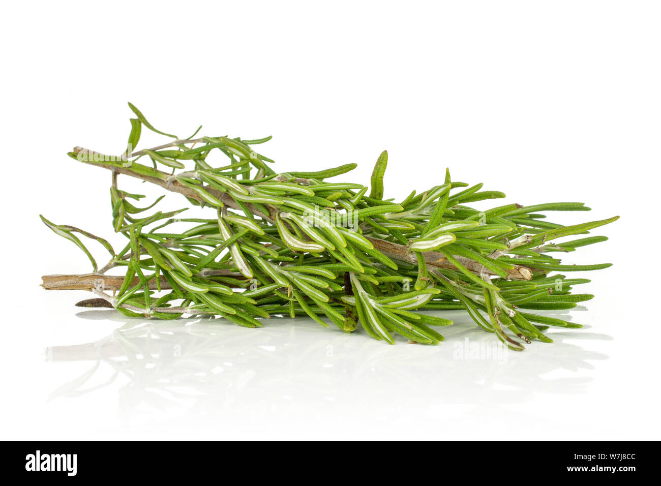 Group of two whole fresh evergreen sprig of rosemary isolated on white ...