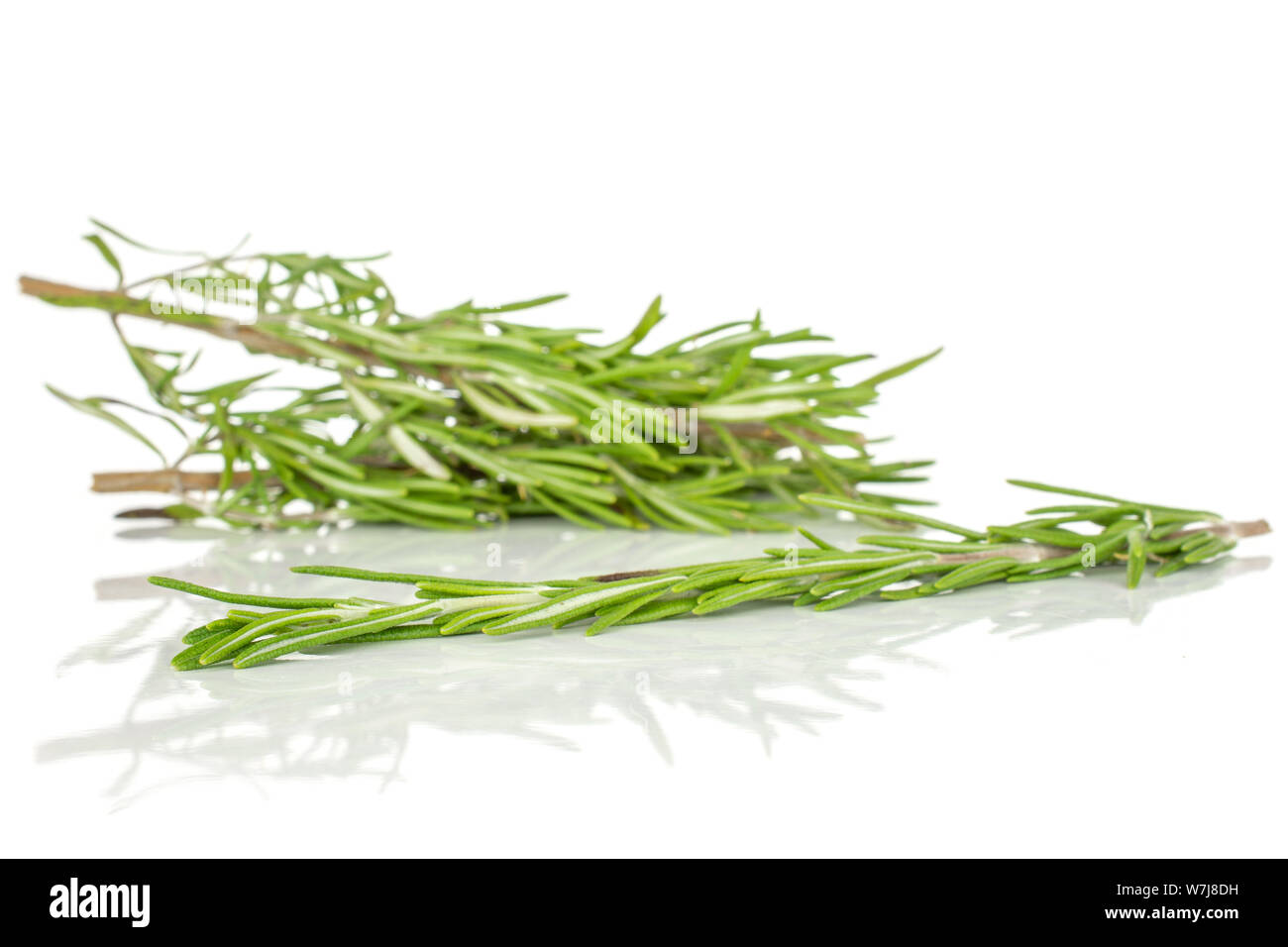 Group of three whole fresh evergreen sprig of rosemary isolated on ...