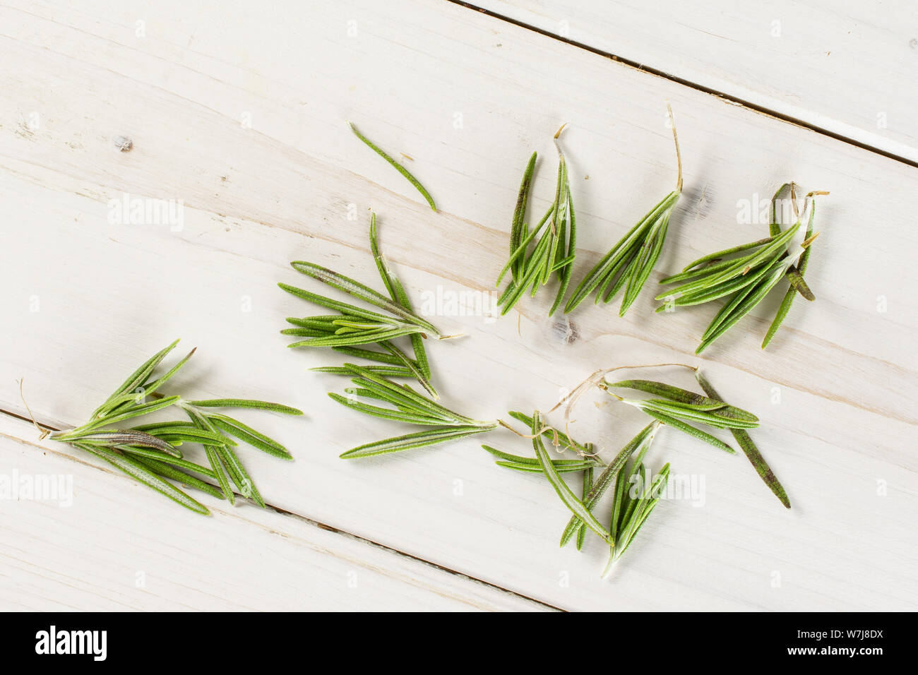 Lot of pieces of fresh evergreen sprig of rosemary flatlay on white ...