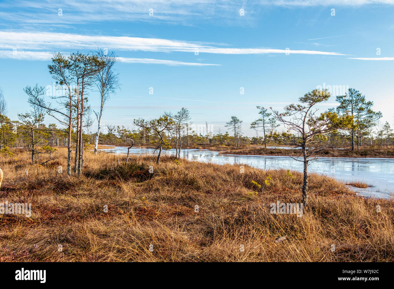 Hike in kemeri national park hi-res stock photography and images - Alamy