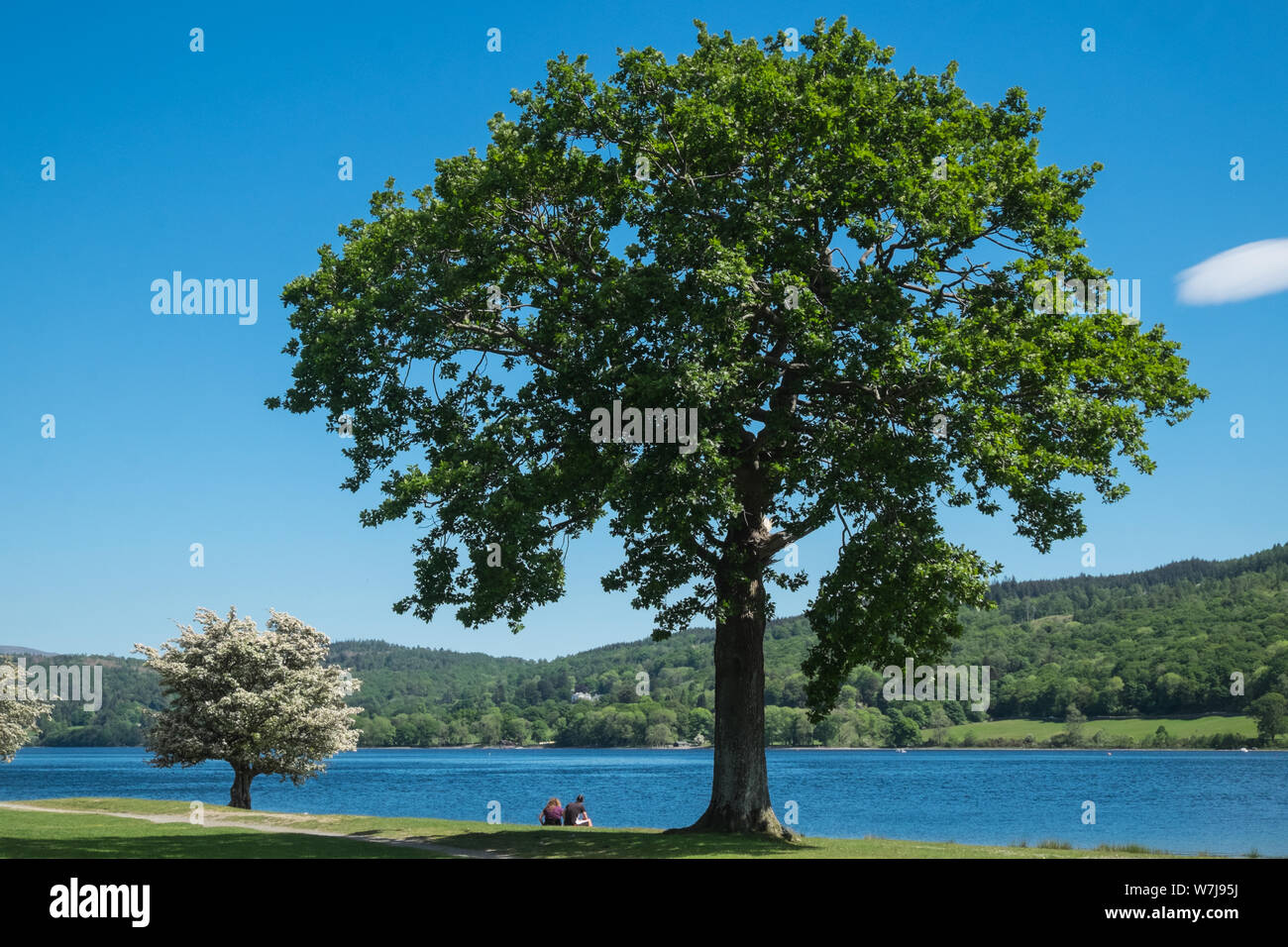 Coniston Water,Lake Coniston,The Lakes,Lake District,The Lake District ...