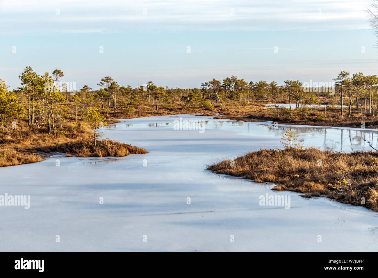 Riga woods hi-res stock photography and images - Alamy