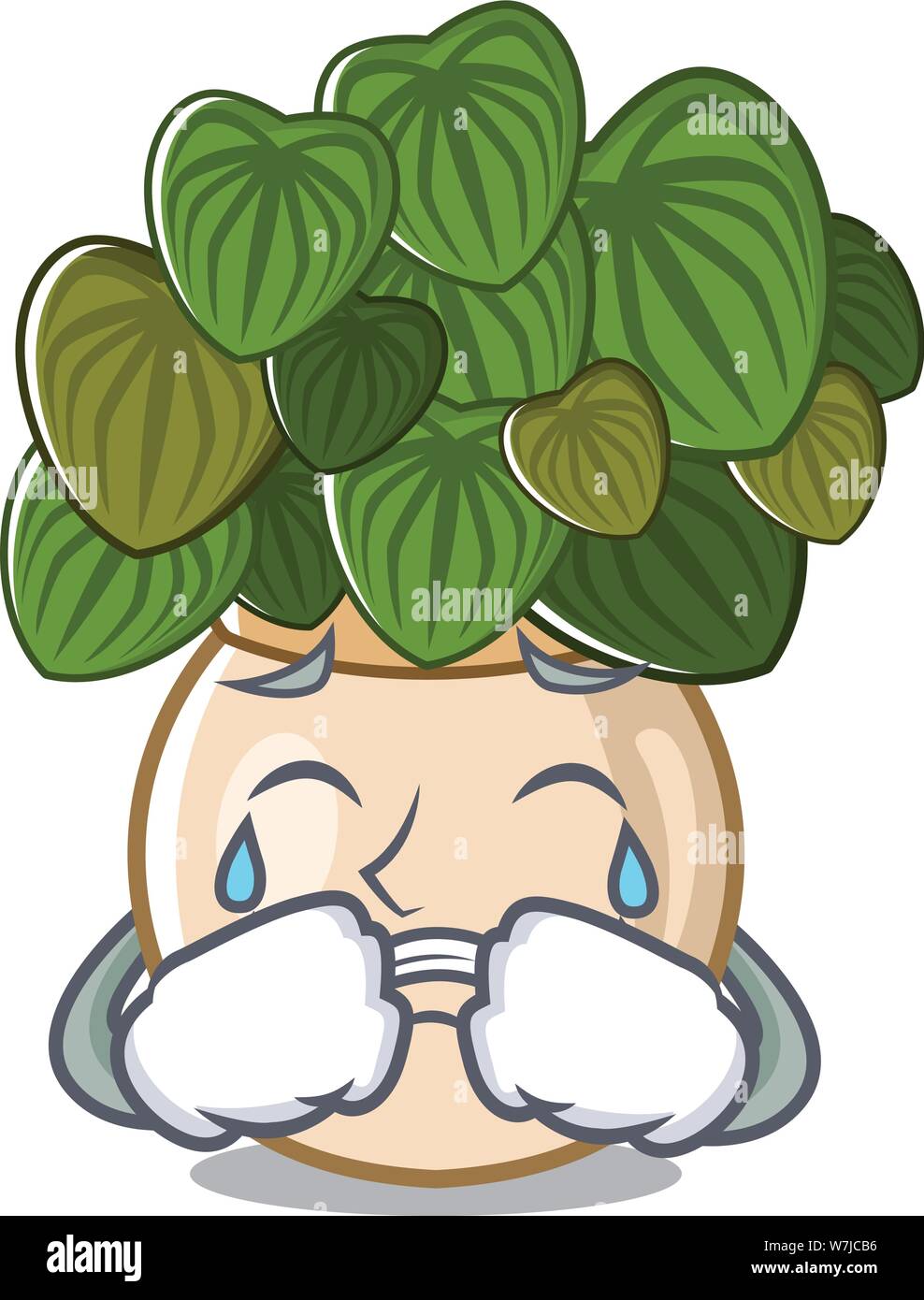 Crying peperomia spreads on the cartoon stems Stock Vector Image & Art ...