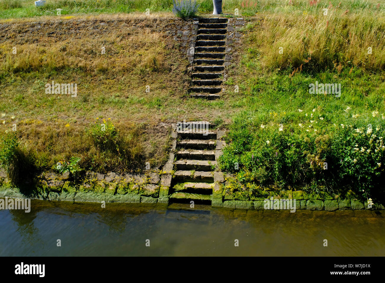 Old steps alongside the Main River in Germany Stock Photo - Alamy