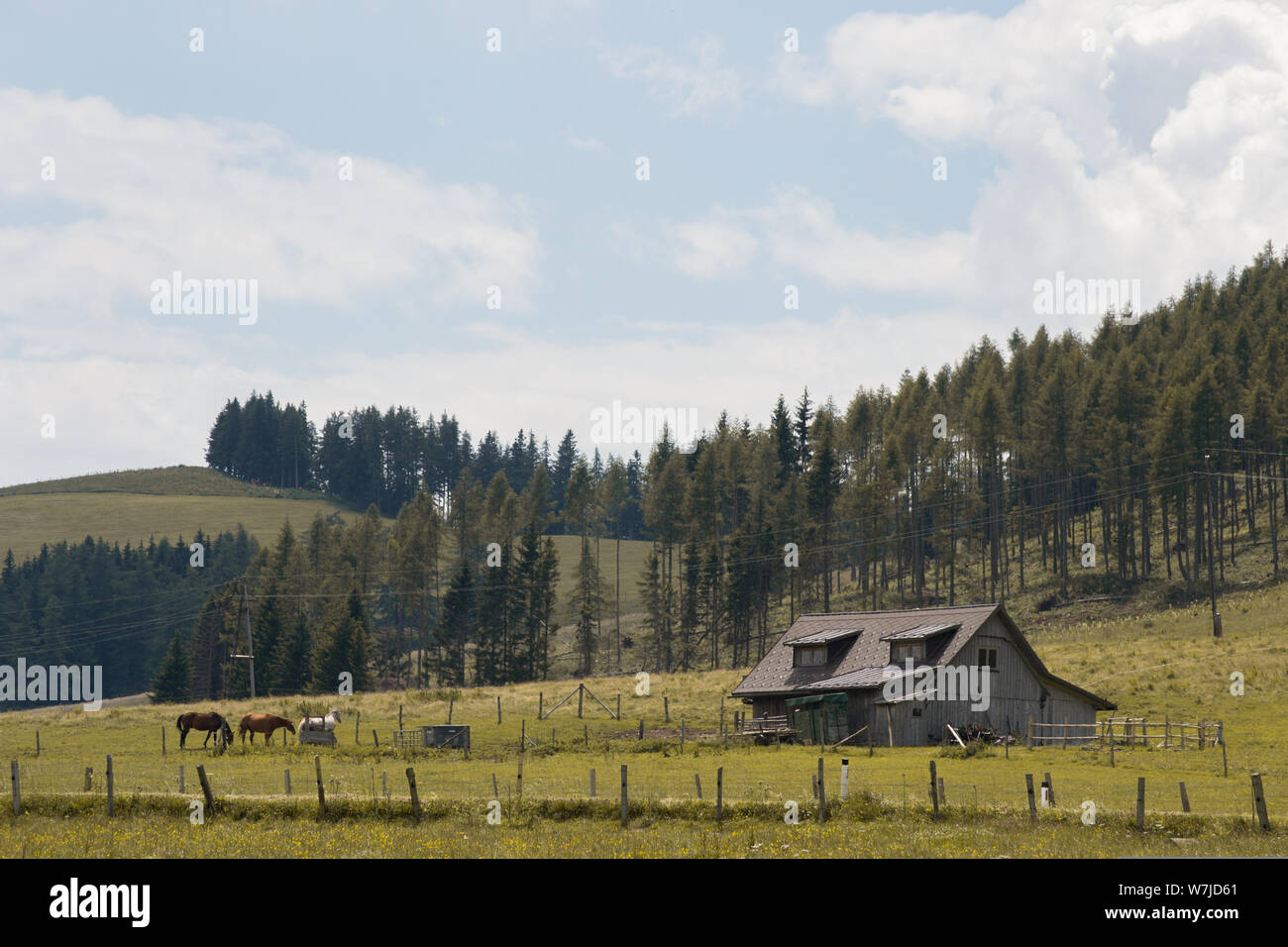 Farmhouse And Horses High Resolution Stock Photography and Images - Alamy