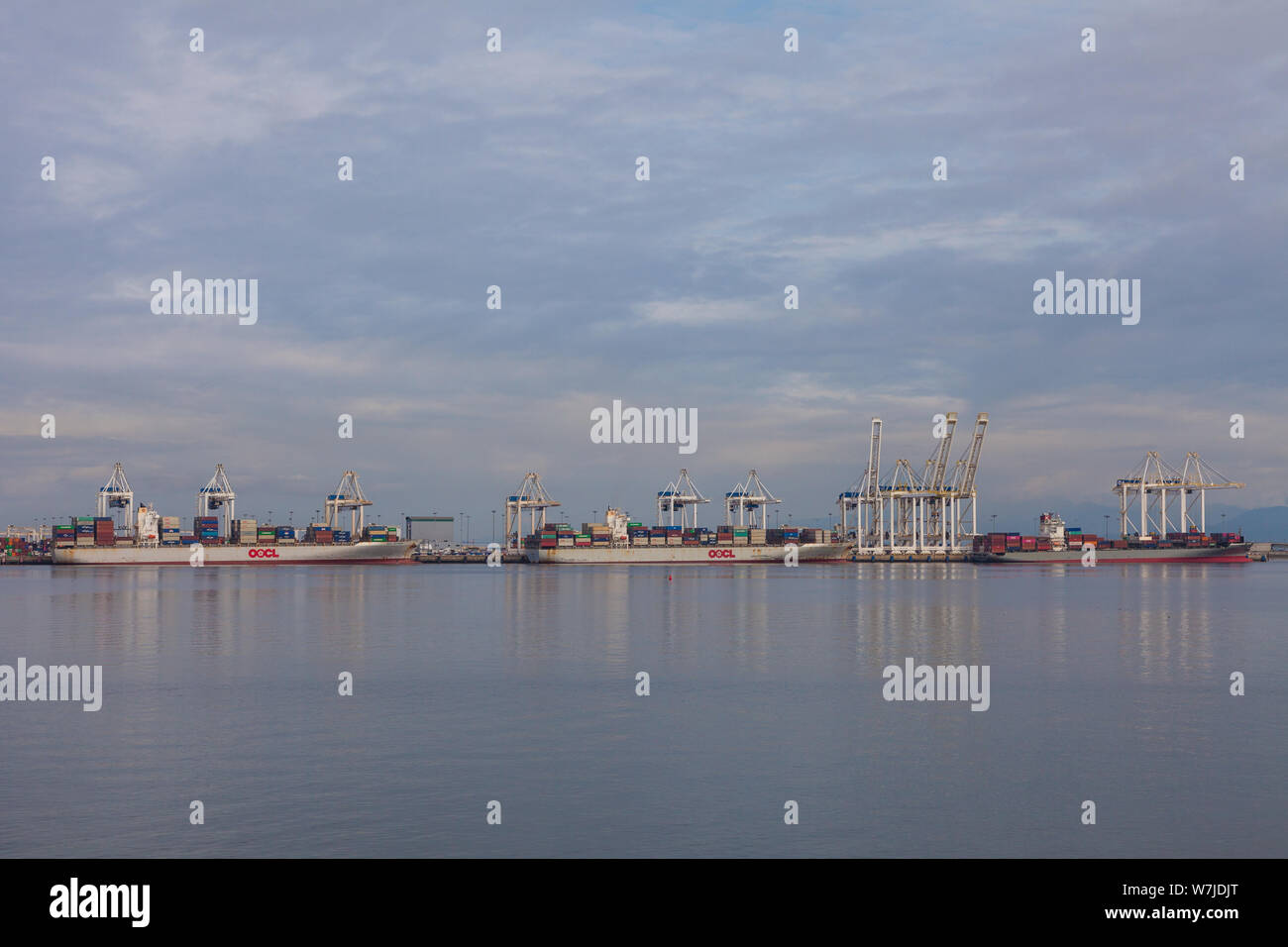 Three container ships docked at Delta Port container terminal near ...