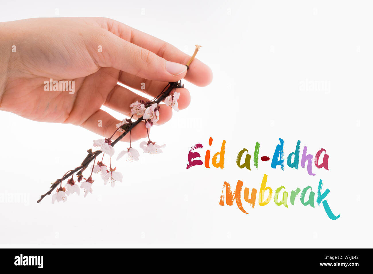 Muslim holiday festival of sacrifice, Happy Eid al-Adha mubarak wording ...