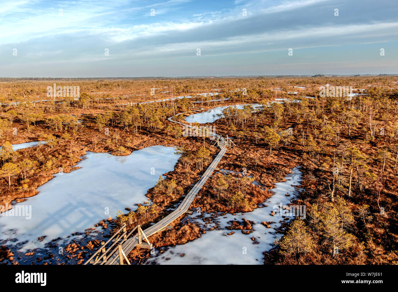 Wooden footpath in swamp with beautiful evening sun light at golden ...
